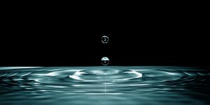 Sphere Bio - Parkwalk Advisors